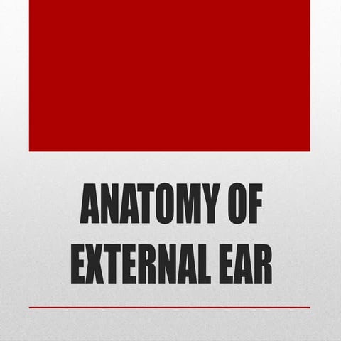ANATOMY OF EXTERNAL EAR ANATOMY AND ENT PPTX | PPT