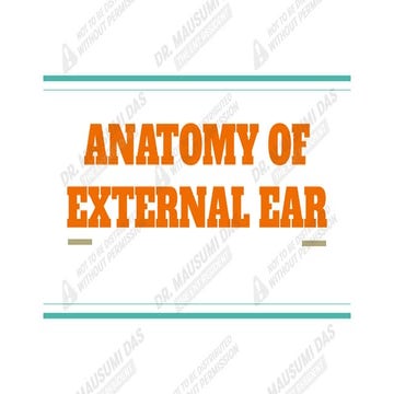 Anatomy of the external ear | PPT