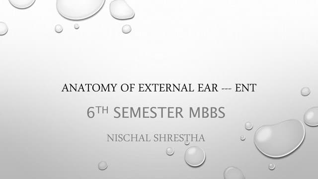 Anatomy of external ear | PPT