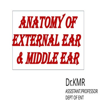 Anatomy of the middle ear, Blood supply, Nerve supply | PPTX
