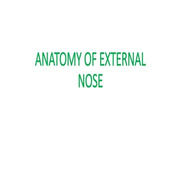 ANATOMY OF EXTERNAL NOSE.pptx . | PPTX