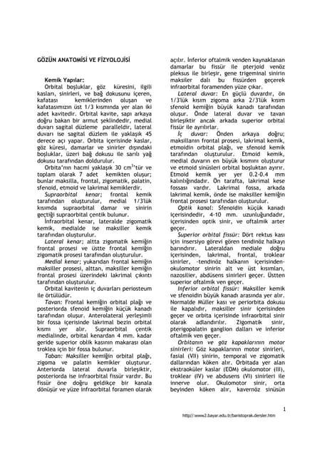 Optik refraksiyon sorular 2 | DOC