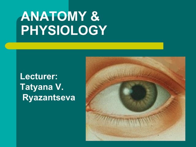 Histology of eye | PDF