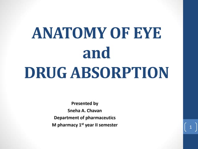 Histology of eye | PDF | Eye and Vision Conditions | Diseases and ...