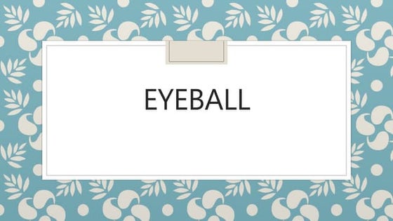 Anatomy of eye ppt | PPTX | Eye and Vision Conditions | Diseases and ...