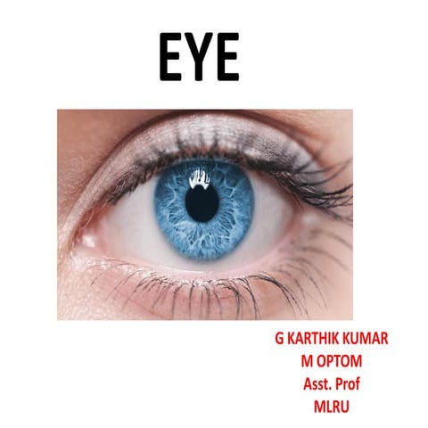 ANATOMY OF EYE.pdf