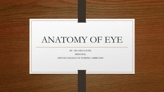 ppt on Eye anatomy | PPT