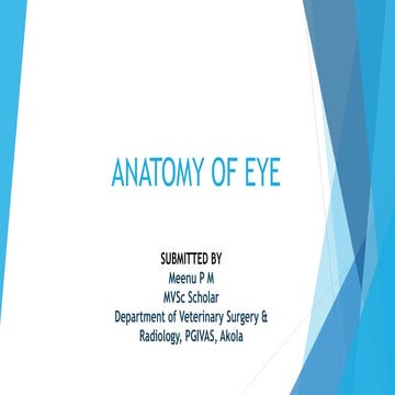 Cow eye – dissection and label | PPTX