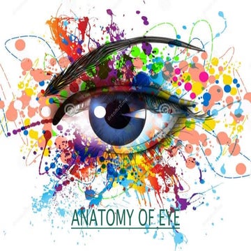 Anatomy of eye POWER POINT PRESENTATION | PPTX