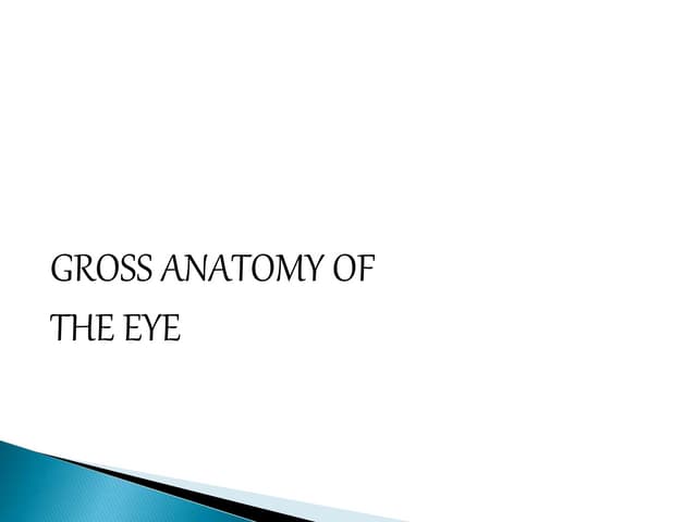 Eye Ball Anatomy | PPTX