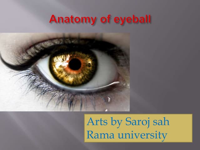 Eye Ball Anatomy | PPTX