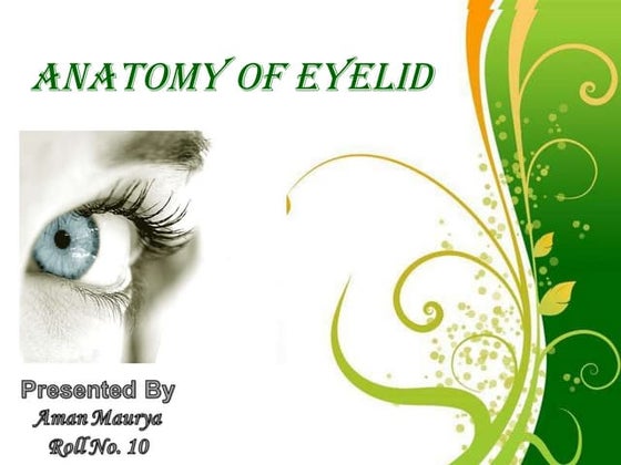 Eyelid Anatomy Ppt Anatomy Of Eye | PPT