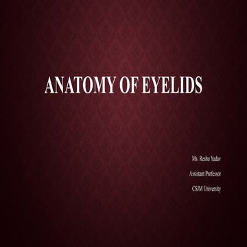 Limbus of the Eye: Anatomy, Functions, and Clinical Significance | PPTX