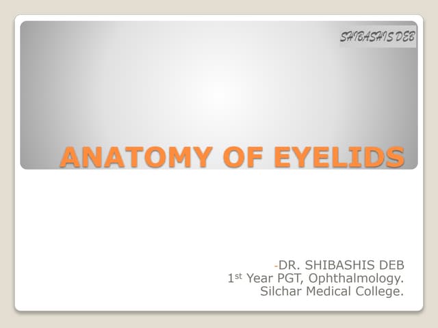 eyelid anatomy slideshare | PPTX