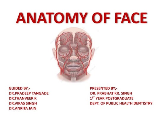blood supply nerve supply of face | PPTX