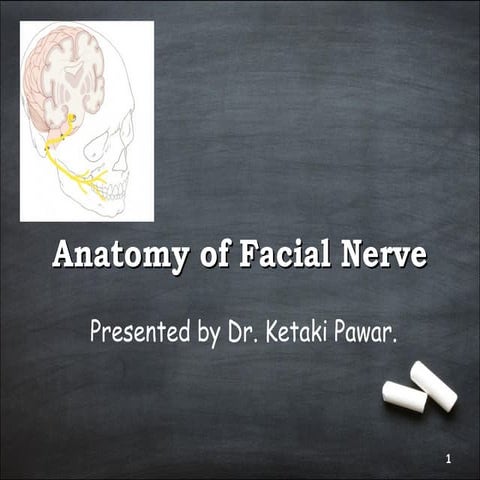Anatomy of facial nerve | PPT