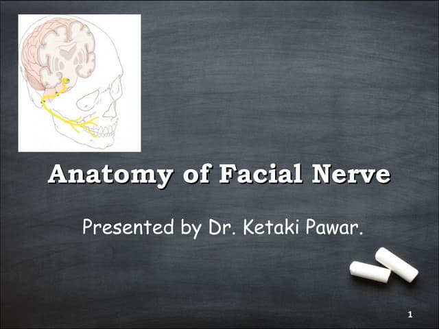 Surgical anatomy of facial nerve | PPT