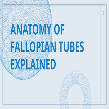 Anatomy of Fallopian Tubes Explained.pptx