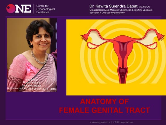 ovary - Anatomy, histology and embryological development of ovary | PPTX