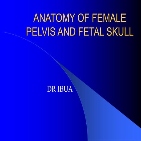 ANATOMY OF FEMALE PELVIS AND FETAL SKULL.ppt
