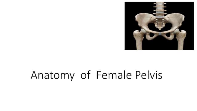 Classification of pelvis | PPTX