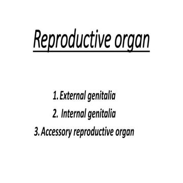 Anatomy of female reproductive organ.pptx