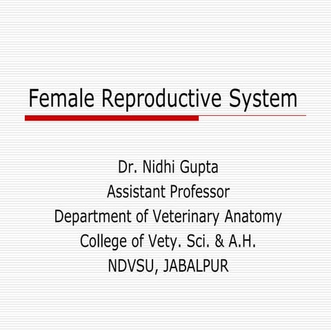 Anatomy of Female reproductive system.pdf