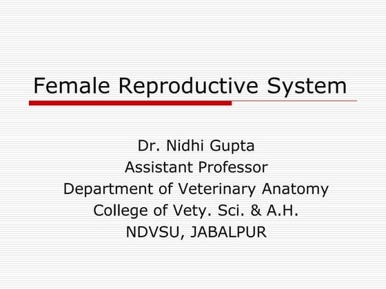 Female Reproductive Tract Anatomy of Domestic Animals | PPT | Pregnancy ...