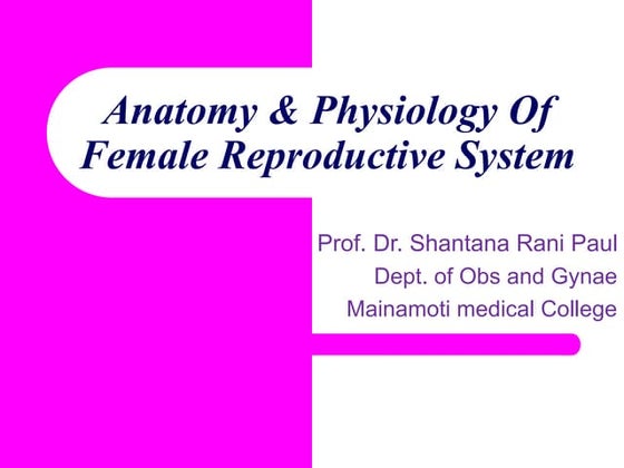 HISTOLOGY OF THE UTERUS FOR MBBS 2ND YEAR REPRODUCTION MODULE | PPTX ...