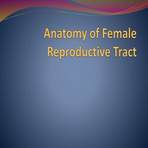 Anatomy of Female Reproductive Tract.pptx