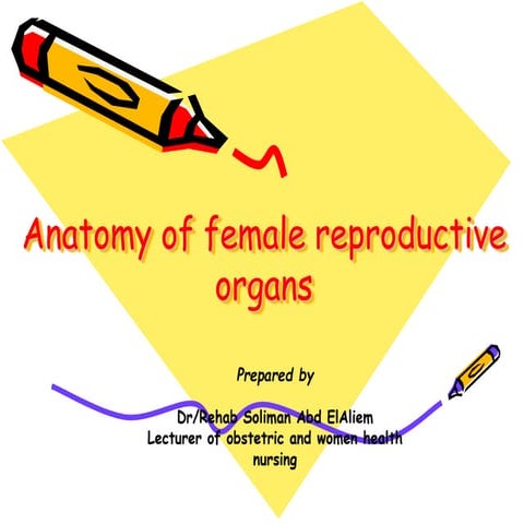 Anatomy of female reproductive organs | PPTX