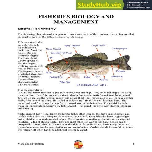 Anatomy of External Organs of the Fishes | PPTX