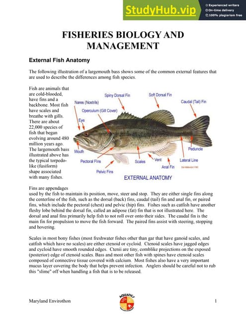 Internal parts of a fish and their functions | PPTX