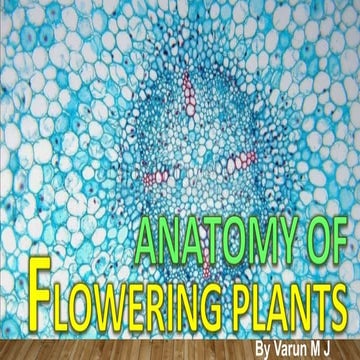 anatomy of flowering plants class 12th.pptx