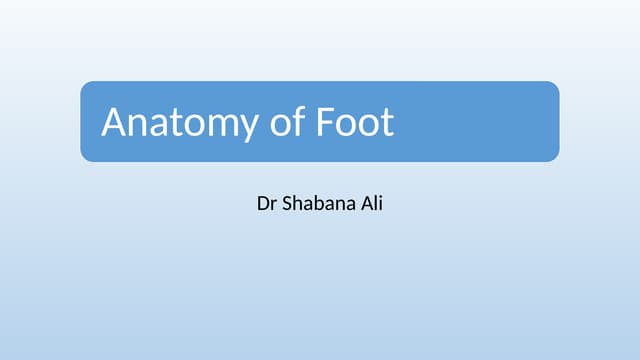 Foot anatomy ppt | PPT