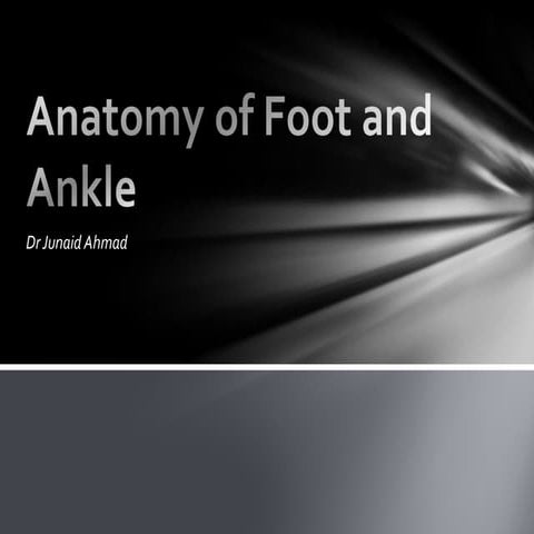 Anatomy of foot and ankle | PPT