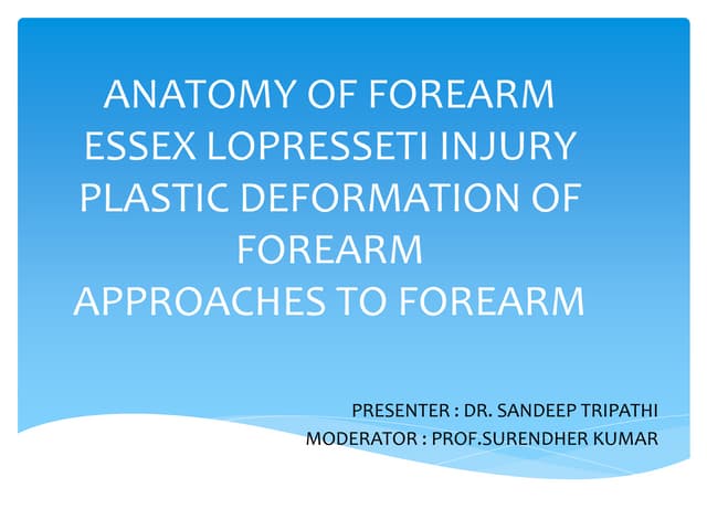 Anatomy of Back of fore arm and dorsum of hand | PDF