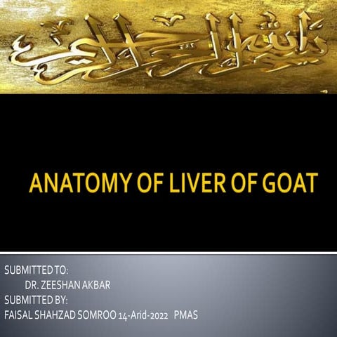 Anatomy of goat liver | PPTX