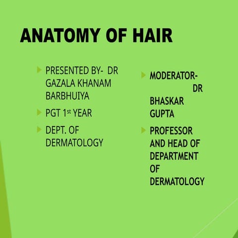 Anatomy of hair and hair cycle | PPTX