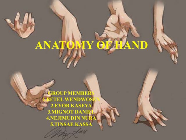 Anatomy Of Hand 1pptx