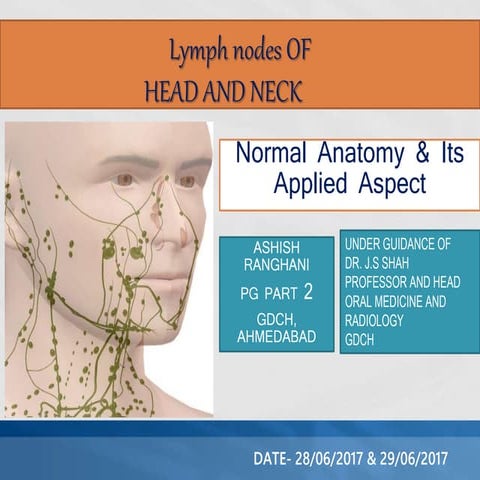 Lymph Nodes Of Head And Neck Anatomy Cervical Lymph Node An Overview