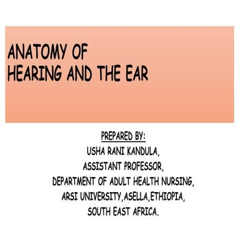 Anatomy of hearing and ear | PPTX