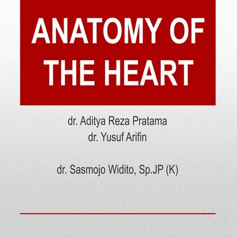 Anatomy of heart | PPT