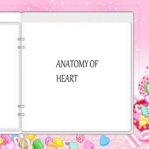 Evolution of Heart | PPTX
