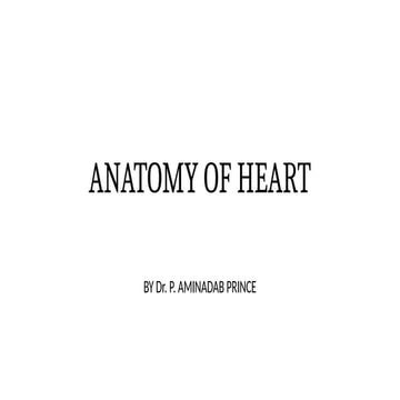 Heart anatomy | PPT