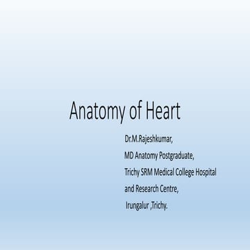 Anatomy of heart presentation | PPTX