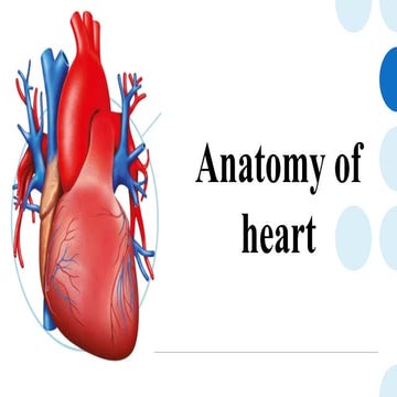Anatomy of heart ,it's components and circulation | PPTX