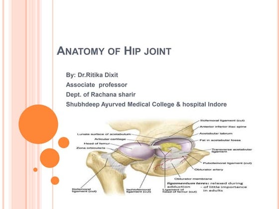 Elbow joint anatomy | PPT