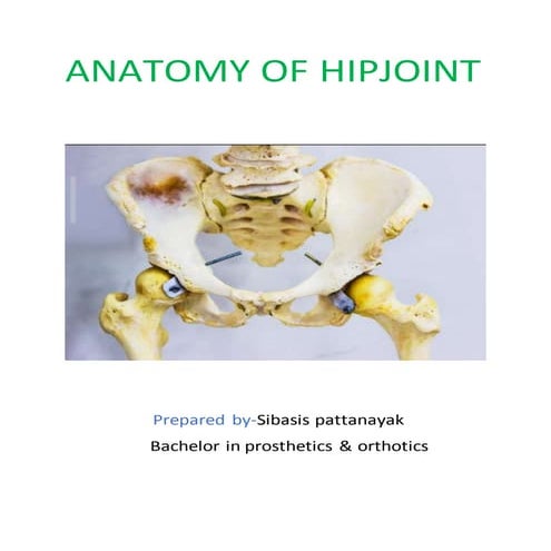 Hip joint biomechanics and pathomechanics | PDF