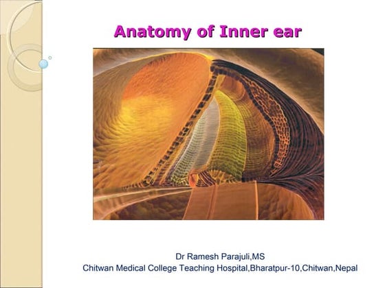 Inner Ear Anatomy Ppt